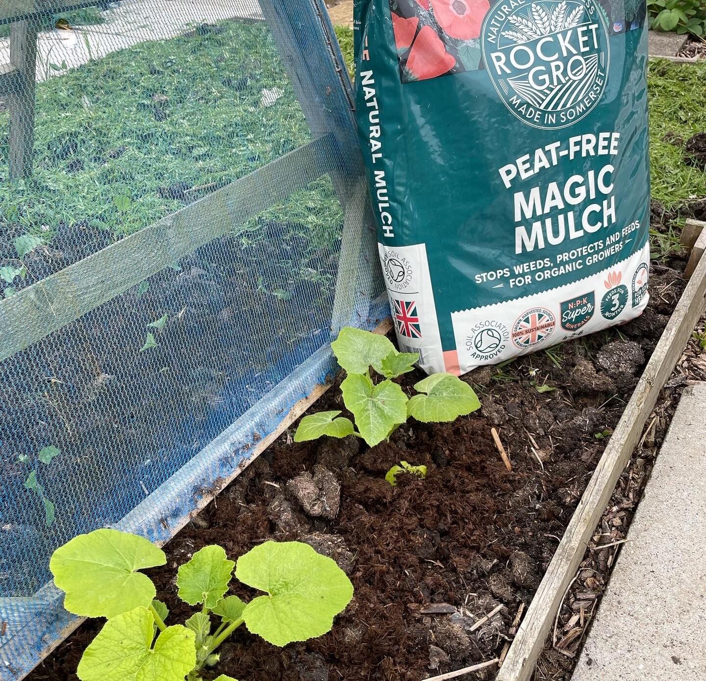 Organic Growing Month-to-Month: with Steph's Allotment - RocketGro