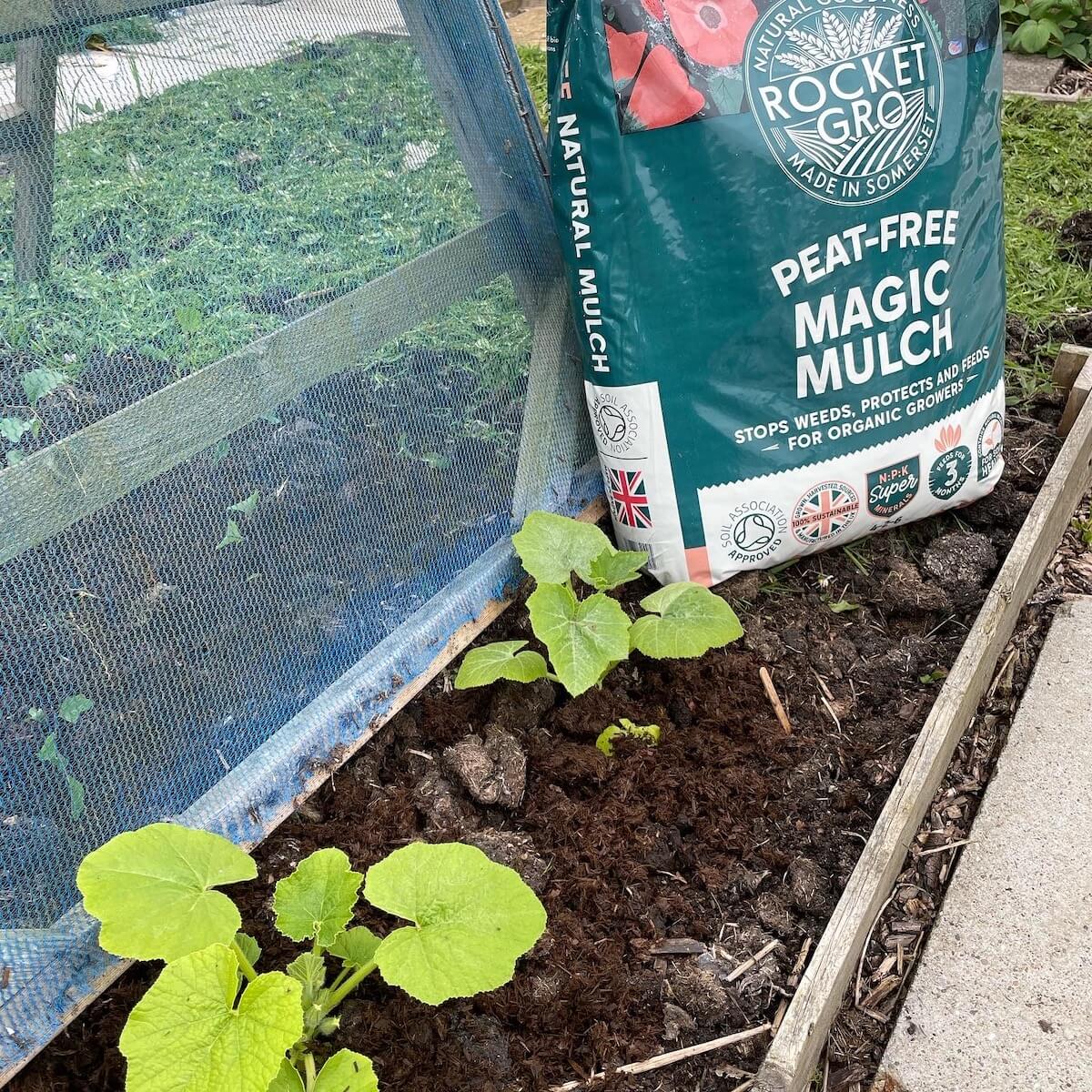 Organic Growing Month-to-Month: with Steph's Allotment - RocketGro