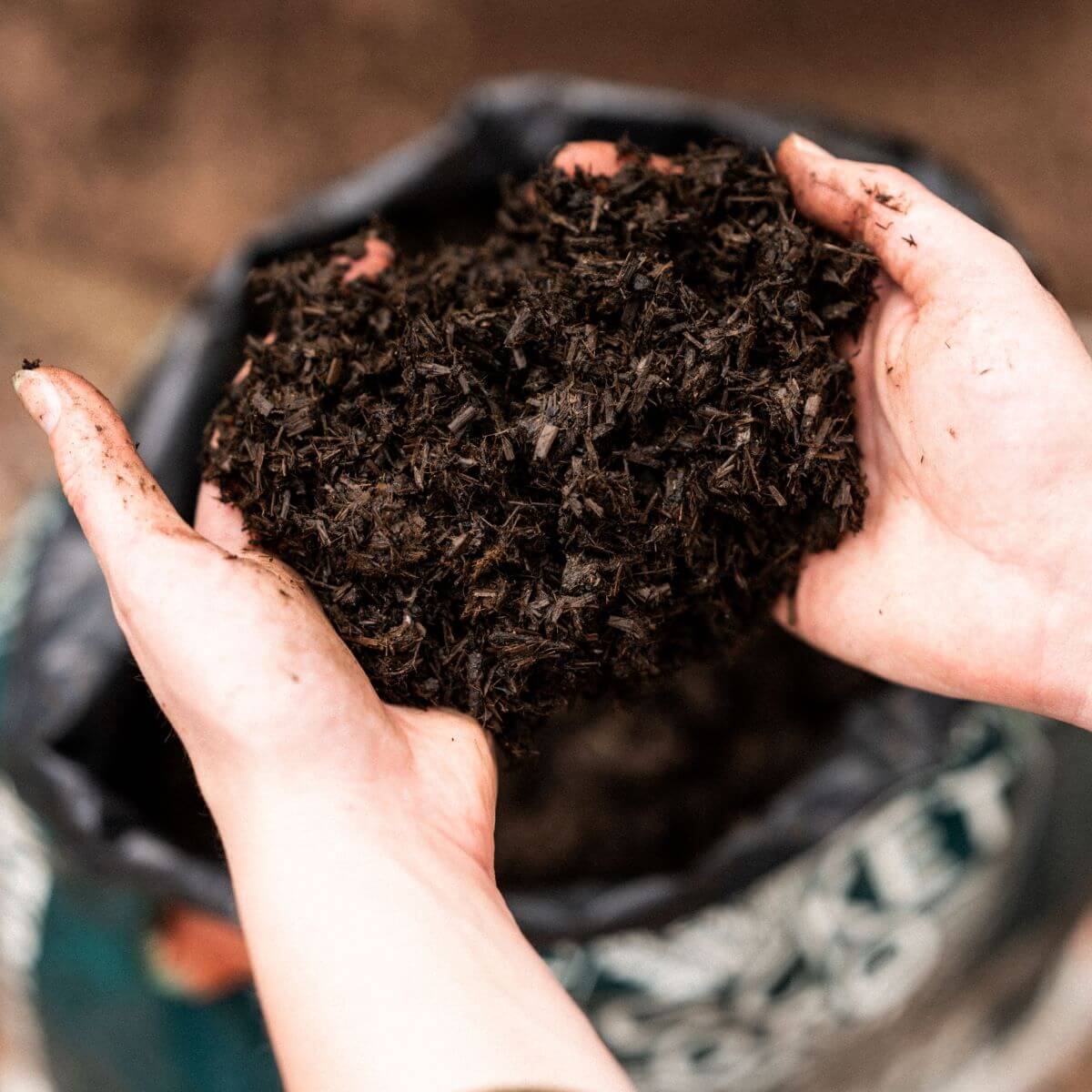 Peat-free compost – Our expert guide to growing peat-free - RocketGro