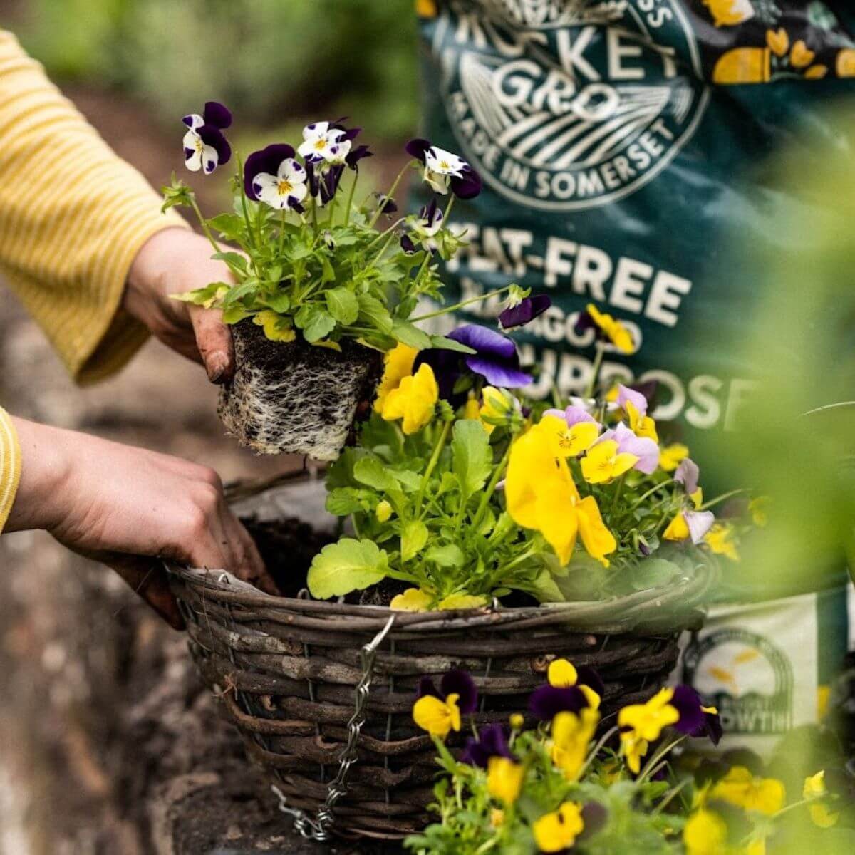 Peat-free compost – Our expert guide to growing peat-free - RocketGro